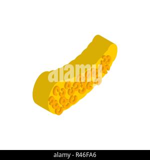 Pancreas isometric anatomy of human body. Internal organs 3D. organ ...