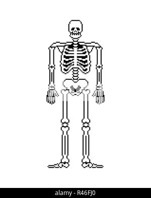 Anatomical skull pixel art. 8 bit skeleton head. pixelated Vector ...