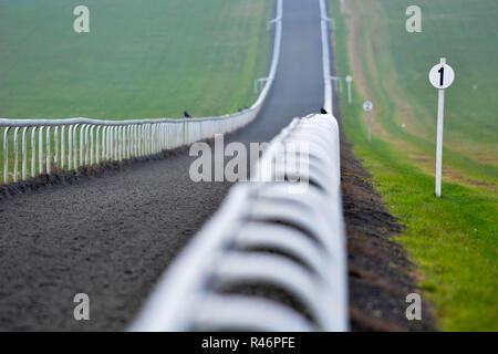 Exercising horse polly track with furlong marker poles Stock Photo - Alamy