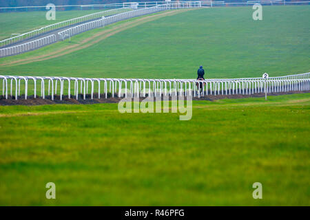 Exercising horse polly track with furlong marker poles Stock Photo - Alamy