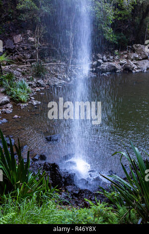 Springbrook National Park, Waterfall Circuit, Gold Coast Hinterland ...