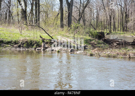 West Branch of the DuPage River with the native forest at McDowell ...