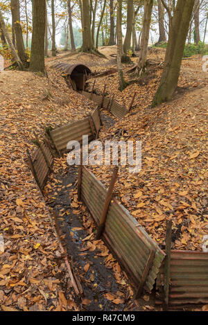 Original British WW1 trench at Sanctuary Wood, Ypres Salient Stock ...