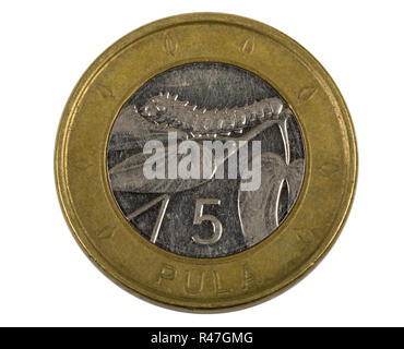 Detail of Botswana Pula coin. Botswana Pula is the national currency of ...