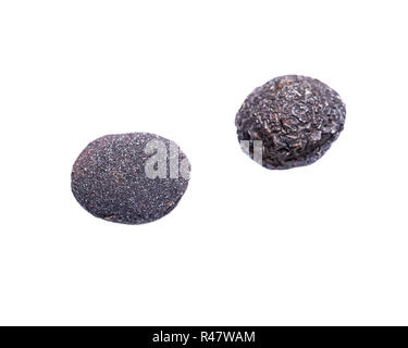 Set of concretion stones from southwest Kansas, USA. Kansas Pop Rocks ...