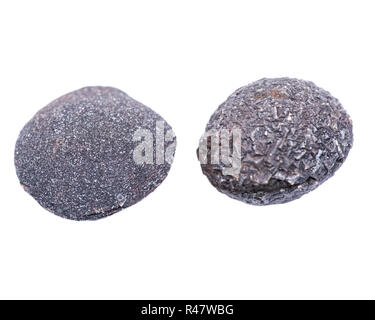 Set of concretion stones from southwest Kansas, USA. Kansas Pop Rocks ...