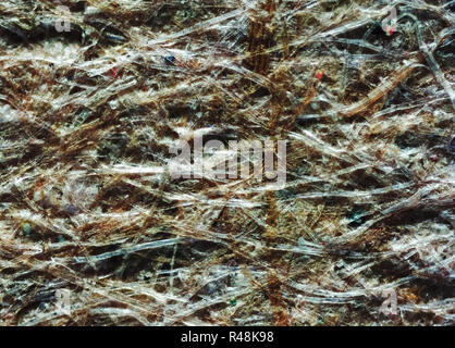 Cellulose fibers, microscope image Stock Photo - Alamy