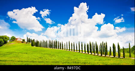 Beautiful view of Tuscany landscape hill at sunset, with mist and warm ...