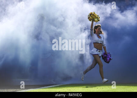 Baltimore, Maryland, USA. 26th Jan, 2016. Ravens fans dance to ...