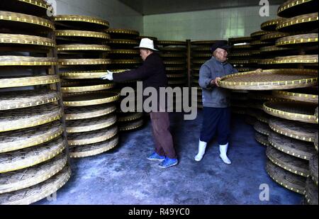 Rugao, Rugao, China. 26th Nov, 2018. Rugao, CHINA-A soy sauce brewing ...