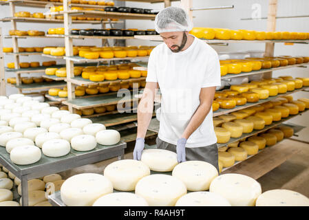 Man checking the quality of the fresh cheese wheels after the waxing ...