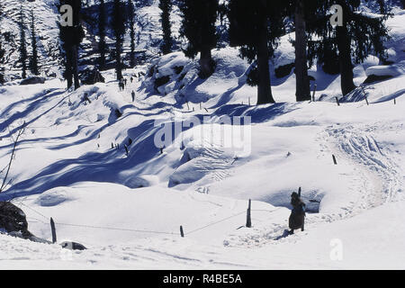 Snow covered road, solang valley, Manali, Himachal Pradesh, India, Asia ...