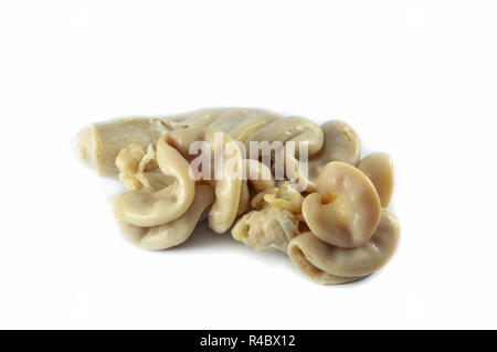 Chitterlings on a white background Stock Photo - Alamy