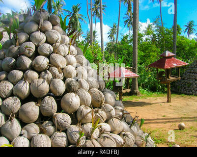Dry coconut for produce coconut milk at the market. Dry coconut shell ...