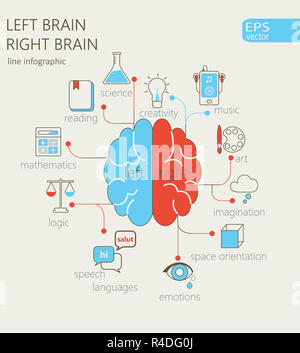 Left and right side of the human brain, illustration Stock Photo - Alamy