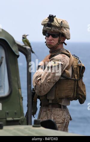 SGT. Michael L. Carter, a Marine aircraft mechanic from VMFA-115 at ...