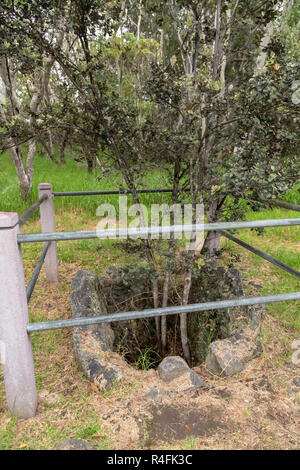 Tree mold, Hawaii Volcanoes National Park, Hawaii Stock Photo - Alamy