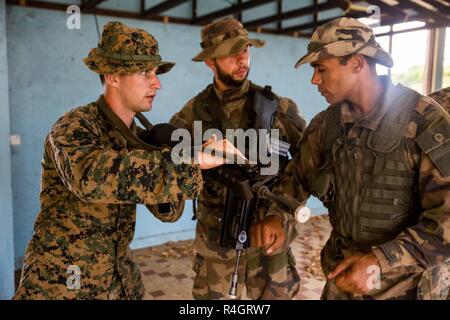 French Armed Forces, armed with FAMAS F1 assault rifles, participate in ...