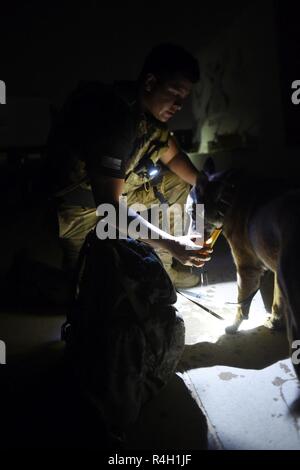 A U.S. Army handler conducts canine-hoist training with a military ...