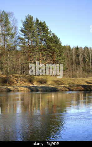 Toropa river near Toropets. Tver Oblast. Russia Stock Photo - Alamy
