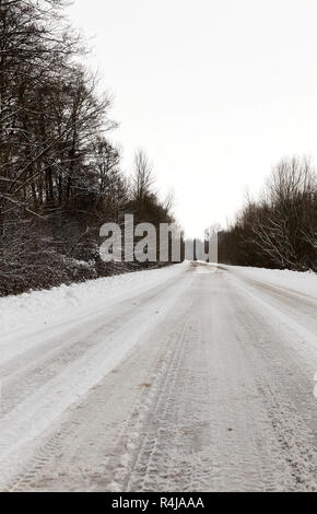 Trees strewn with snow. Photo of the winter forest Stock Photo - Alamy