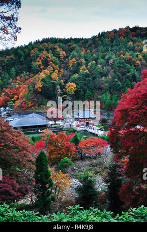 Autumn leaves from the top of Katsuoji temple, Osaka, Japan Stock Photo ...