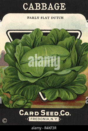 Cabbage Seed Packet Stock Photo - Alamy