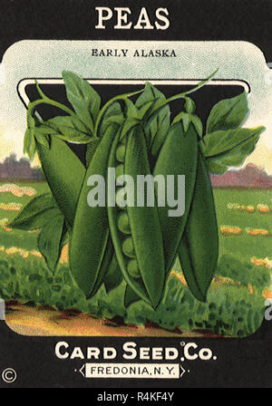 Peas Seed Packet Stock Photo - Alamy
