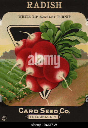 Radish Seed Packet Stock Photo - Alamy