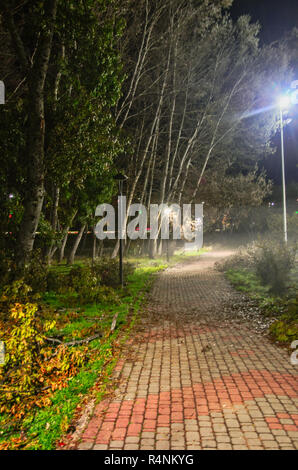 October in Morocco, with autumn foliage on poplar trees next to a lake ...