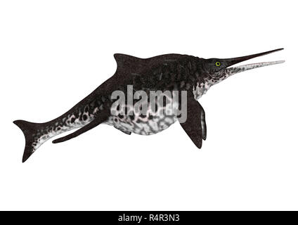3D rendering of a shonisaurus isolated on white background Stock Photo ...