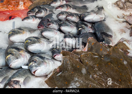 Fresh mediterranean cod-fish for sale on market of Marseilles, France ...