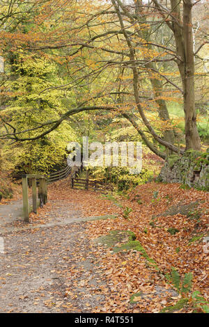 View of footpath leading to Goit Stock Waterfalls, Harden, West ...
