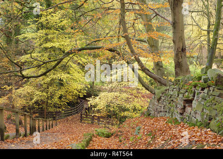 View of footpath leading to Goit Stock Waterfalls, Harden, West ...