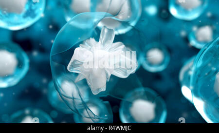 Life under the microscope Stock Photo - Alamy
