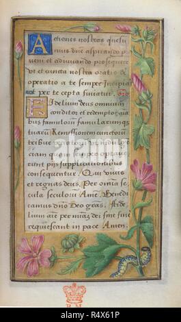 Mallow, Whole folio Text. Borders with trompe l'oeil decoration of ...