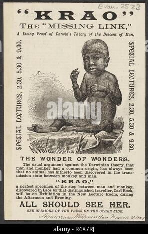 Darwin's Missing Link Stock Photo - Alamy