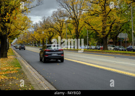Autumn Colours, Royal Parade, Melbourne Stock Photo - Alamy
