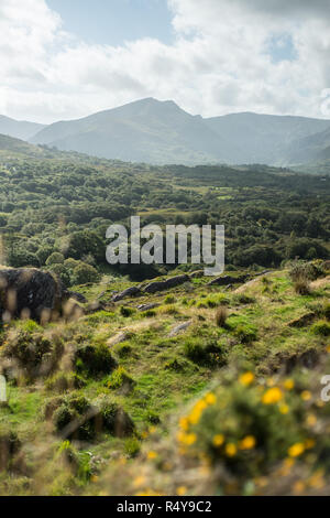 The R571 from Kenmare town to Killmakilogue Harbor, Ring of Beara road ...