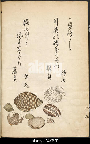 A fish Image taken from Umi no sachi (The Bounty of the Sea) Published ...