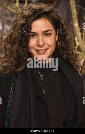 Berlin, Deutschland. 27th Nov, 2018. Detlev Buck attends the European ...