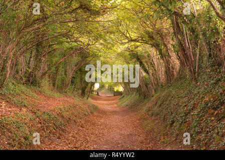 Mill Lane, Halnaker, Sussex, England, United Kingdom, Europe Stock ...