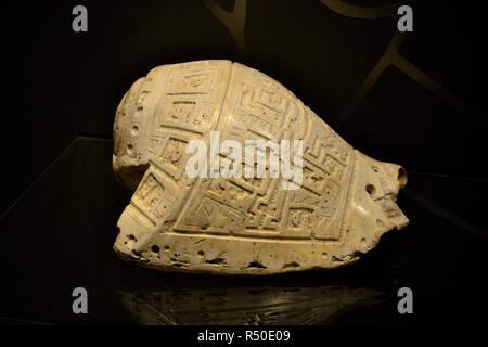 Pututu - Conch shell used as a musical instrument - Museum ...