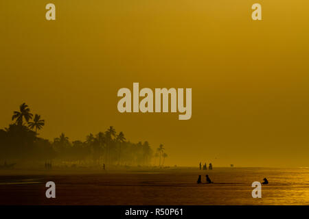 Sandy beach full of morning fog. Steep cliff with pine trees. Baltic ...