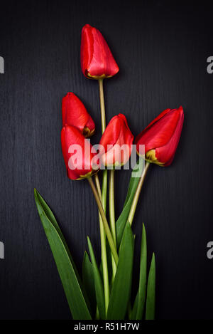 Five red tulips on a black surface Stock Photo - Alamy