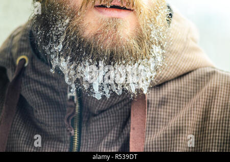 Frozen beard with hanging icicles close up background. Frosty harsh ...