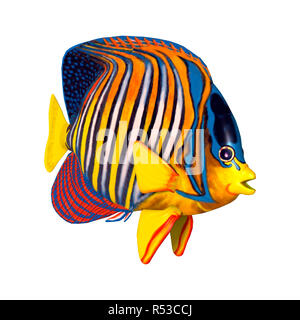 3D rendering of a royal angelfish isolated on white background Stock ...