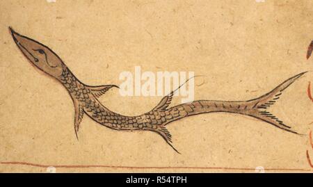 Kitab al-Hayawan (Book of Animals), 9th century Arabic text by Al-Jahiz ...