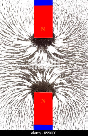 Iron filings show fields of attraction of two poles of a bar magnet ...