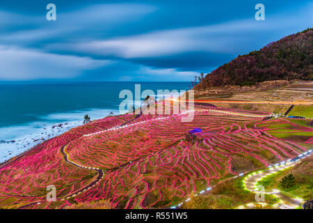 Rice terraces at twilight, Shiroyone senmaida, Ishikawa,Japan Stock ...